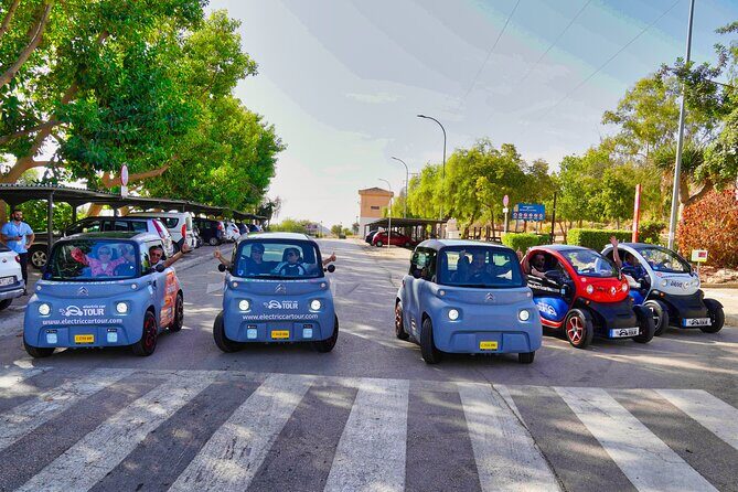 Gastronomic Tour in Montes de Málaga: Explore by Electric Car - Who Is This Tour Best For?