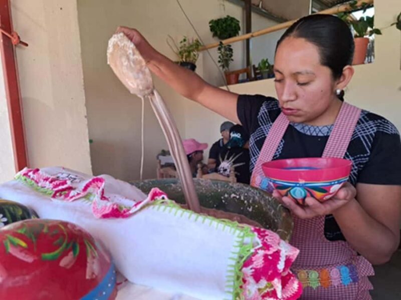 Gastronomic Tour with Private Service from Oaxaca City - Discovering Tejate in San Andrés Huayapam