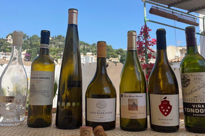 Gastronomic Wine Tasting Experience Guided by a Sommelier - Detailed Breakdown of the Itinerary