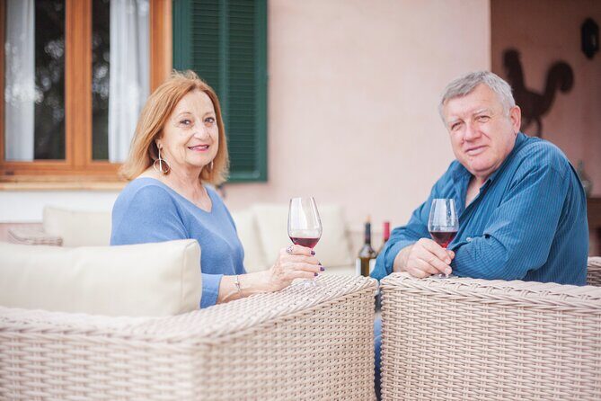Gastronomic Wine Tasting Experience Guided by a Sommelier - Practical Tips for Making the Most of This Tour