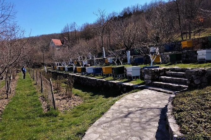 Gastronomy and Sightseeing in Montenegro - Lake Skadar & Cetinje Private Tour - Discovering Montenegro’s Scenic and Culinary Treasures: Lake Skadar & Cetinje Private Tour