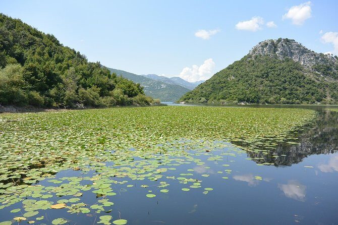 Gastronomy and Sightseeing in Montenegro - Lake Skadar & Cetinje Private Tour - Final Thoughts