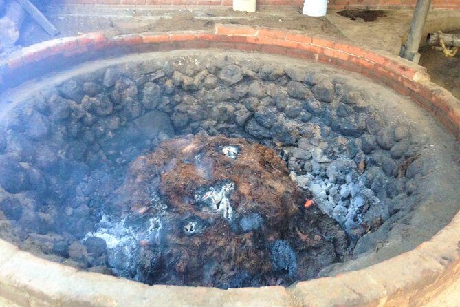 Gastronomy Experience, Culture Mezcal,Tasting & Textiles. Private Tour. - Final Thoughts