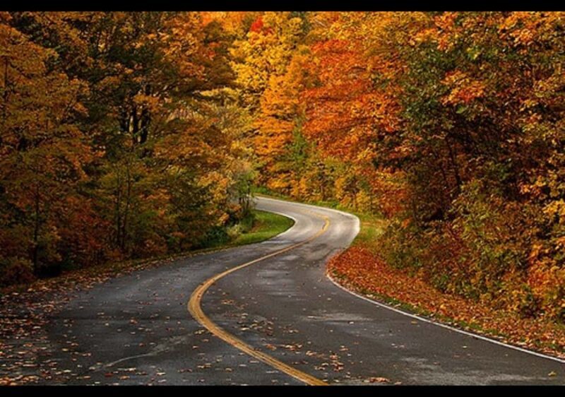 Gatineau Park Tour Exclusive with Pick Up and Drop Off - Who Will Love This Tour?