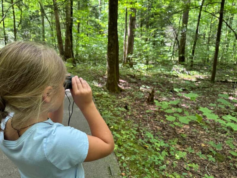 Gatlinburg: Adventure Hike and Craft for Kids - FAQ