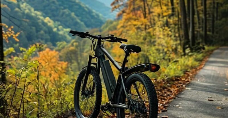 Gatlinburg: E-Bike Rentals - Who Is This Experience For?