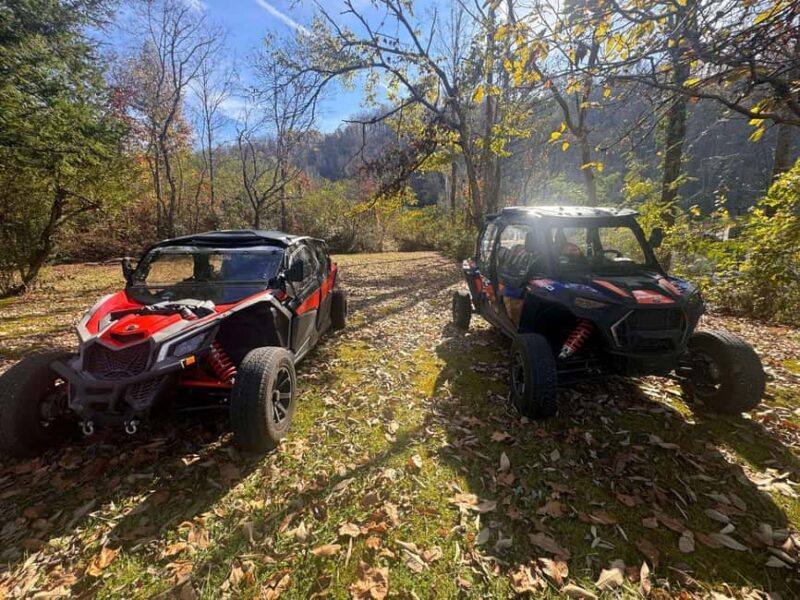 Gatlinburg: Self-Guided Street Legal UTV Rentals - Benefits of the UTV Rental Approach
