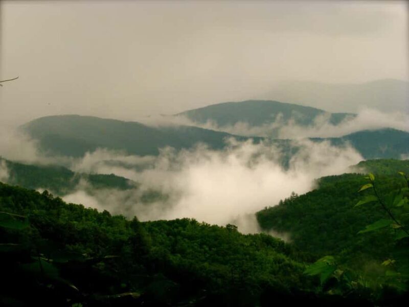 Gatlinburg: Smoky Mountain Appalachian Bald Guided Hike - Why You Should Consider This Tour