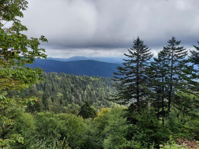 Gatlinburg: Smoky Mountain Appalachian Bald Guided Hike - Who Will Love This Experience