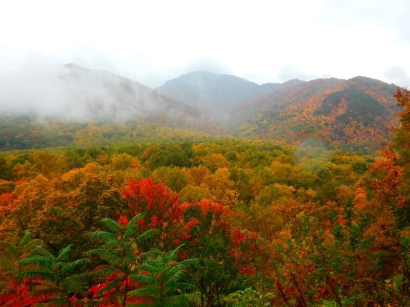 Gatlinburg: Smoky Mountains Fall Foliage Guided Tour - A Close Look at the Smoky Mountains Fall Foliage Tour
