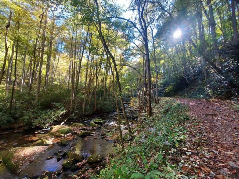 Gatlinburg: Smoky Mountains Fall Foliage Guided Tour - Final Thoughts: Is It Worth It?