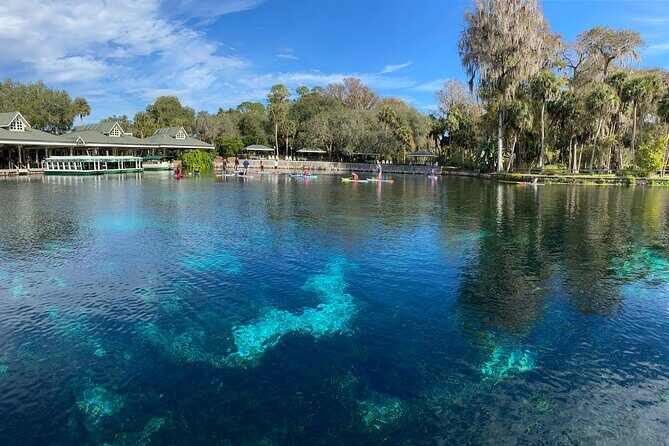 Gator Viewing Clear Kayak Springs Tour - The Itinerary: What to Expect from Start to Finish