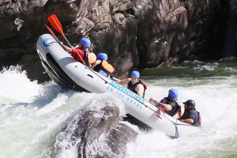 Gauley River: Lower Gauley Full Day Whitewater Rafting Tour - What to Expect: A Closer Look at the Day