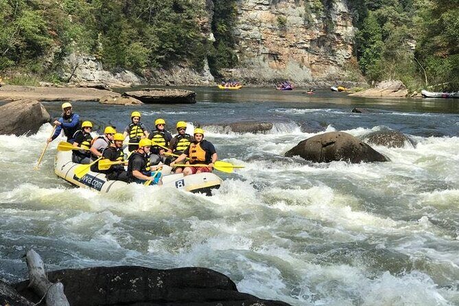 Gauley River Whitewater Rafting Marathon (Fall Only) - Who Is This Tour Best For?