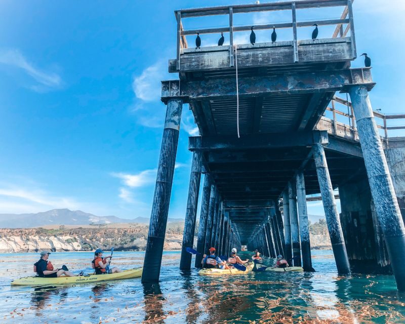 Gaviota Coast Near Santa Barbara: Kayak Tour (3.5 Hours) - What to Know Before Booking