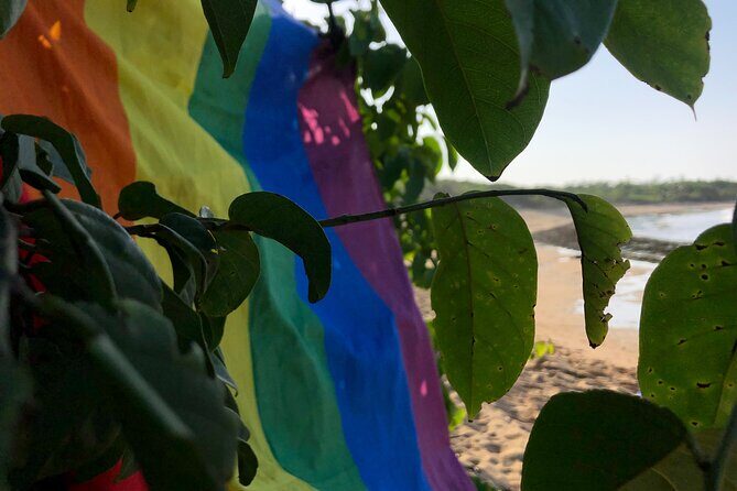 Gay Beach Adventure Queer Friendly Getaway in Puerto Rico Tour - Key Points