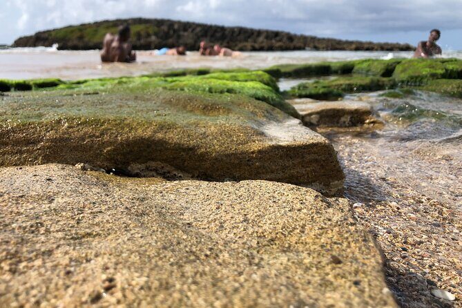 Gay Beach Adventure Queer Friendly Getaway in Puerto Rico Tour - An In-Depth Look at the Tour Experience