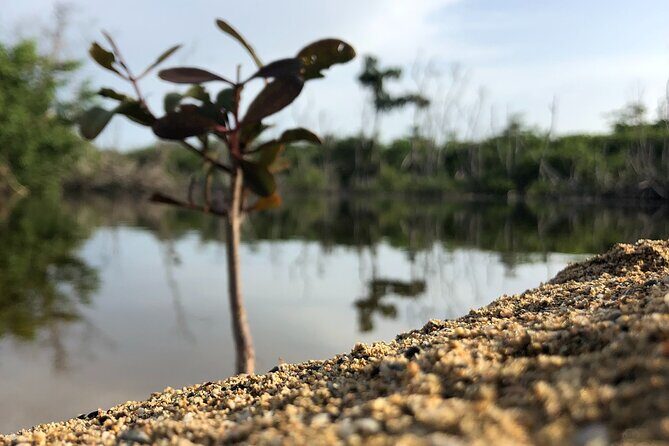 Gay Beach Adventure Queer Friendly Getaway in Puerto Rico Tour - Final Thoughts