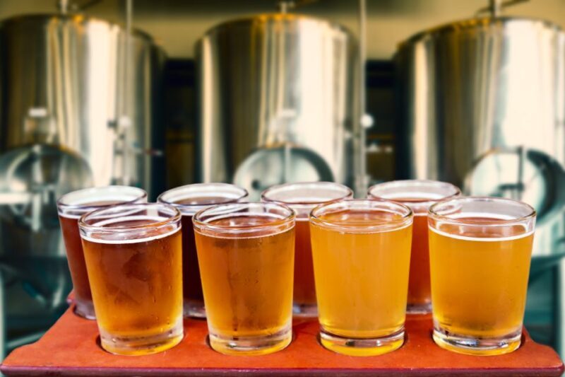 Gdansk: Polish Beer Tasting Tour - Who Will Love This Tour?