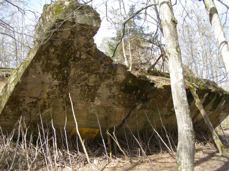 Gdansk Wolfs Lair with St. Lipka and Mamerki Private Guided - Introduction