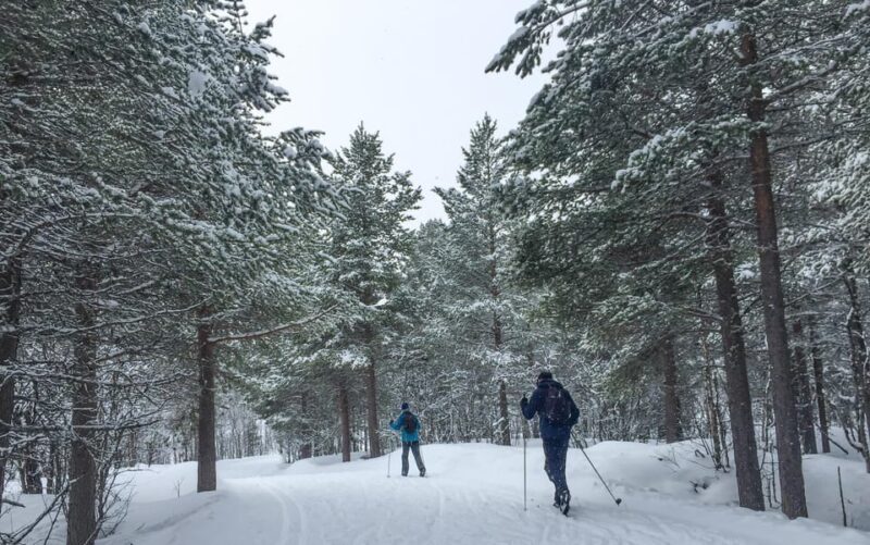 Geilo: Cross-Country Skiing Taster - Key Points