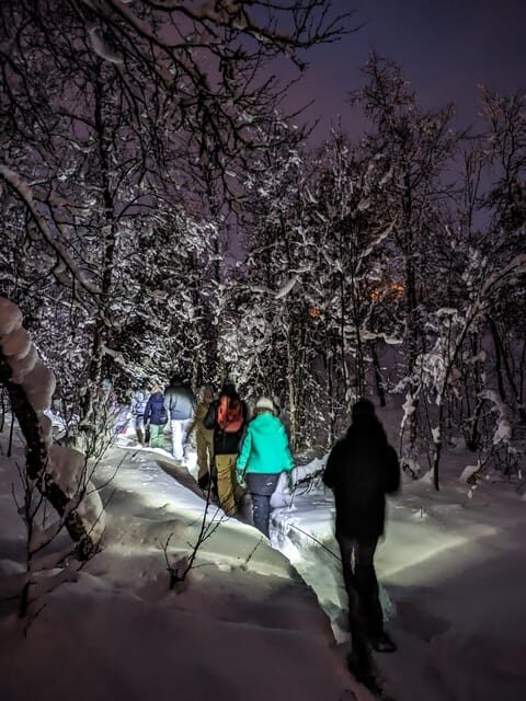Geilo: Evening family tour with sledge, campfire and fun! - Key Points