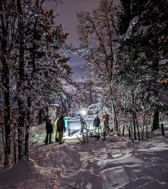 Geilo: Evening family tour with sledge, campfire and fun! - An Overview of the Experience
