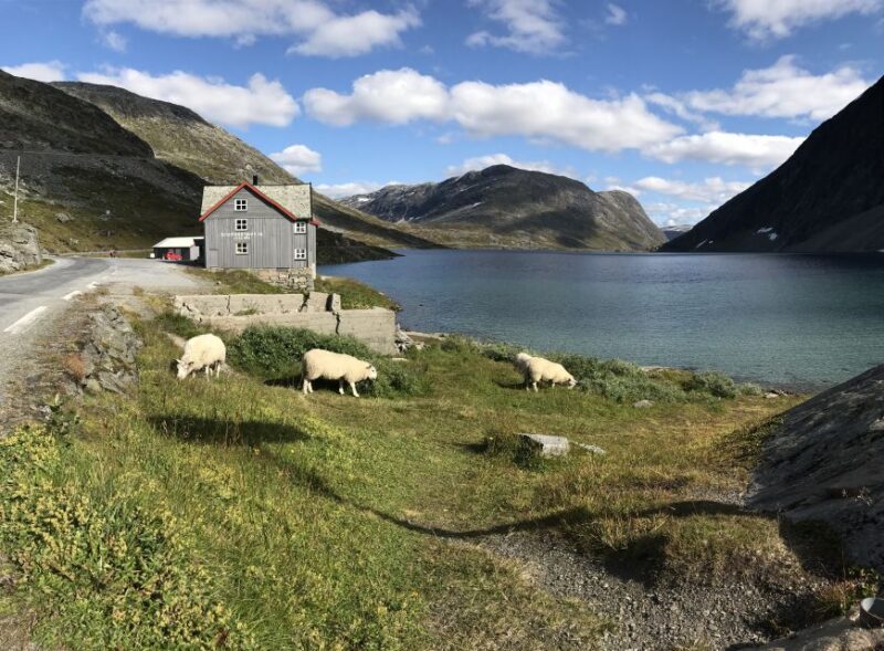 Geiranger: Dalsnibba, Flydalsjuvet, Eagle Bend & Fjords Tour - Final Thoughts