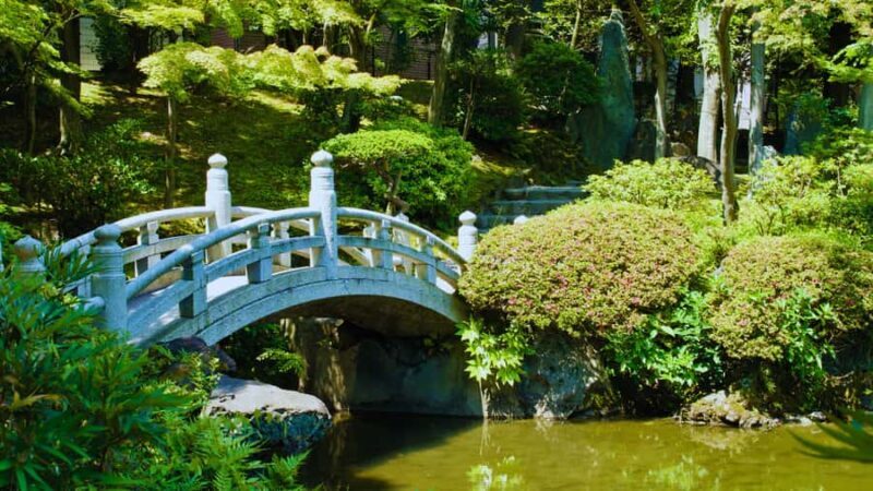 Geisha & Sumo Culture: Tokyo Walking Tour 3 Hrs - Who Should Take This Tour?