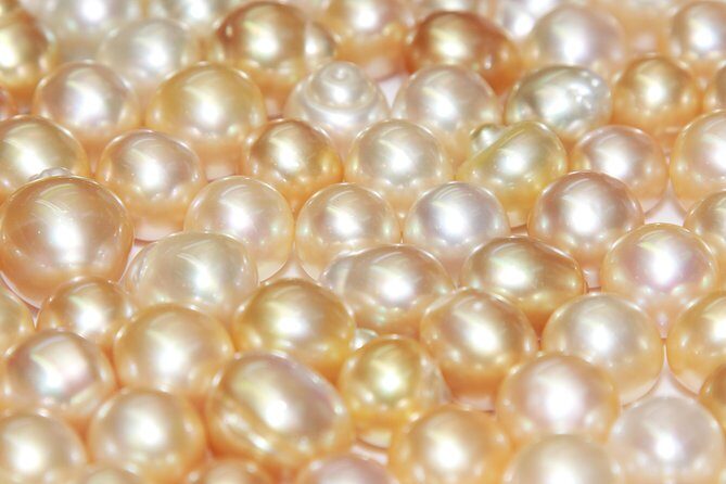 Gem & Jewelry Heritage Shopping Tour - Suitable for Who?