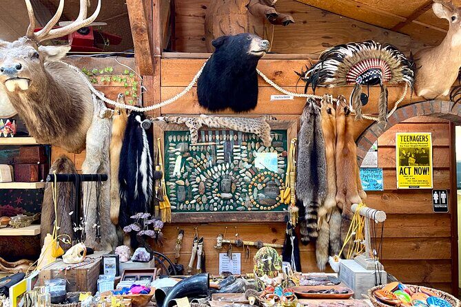 Gem Mining and Goat Farm Walking Tour in Hendersonville - A Well-Rounded, Authentic Adventure