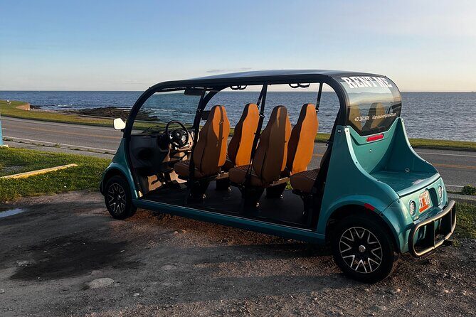 Gem Open Air EV Rental in Newport - Why Consider the Gem Open Air EV Rental?