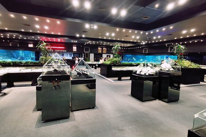 Gems Gallery Chiang Mai with Round Trip Hotel Transfers - Who Should Consider This Tour?