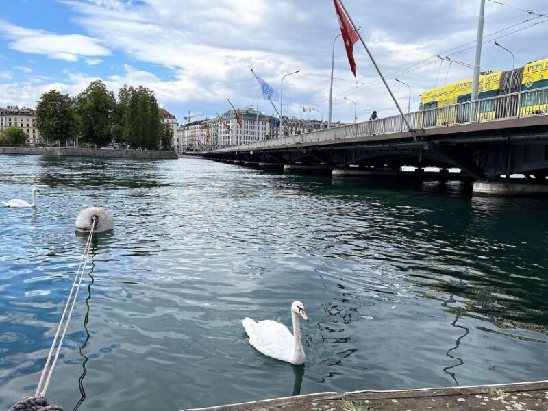 Geneva Complete Tour. Hotel PICK-UP, UN area & the Old City - Transportation, Duration, and Comfort
