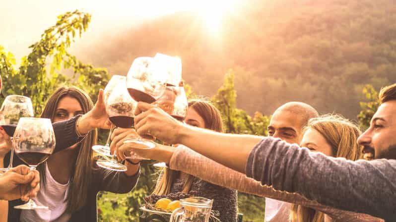 Geneva: Countryside and Wine tasting by E-Bike - Key Points