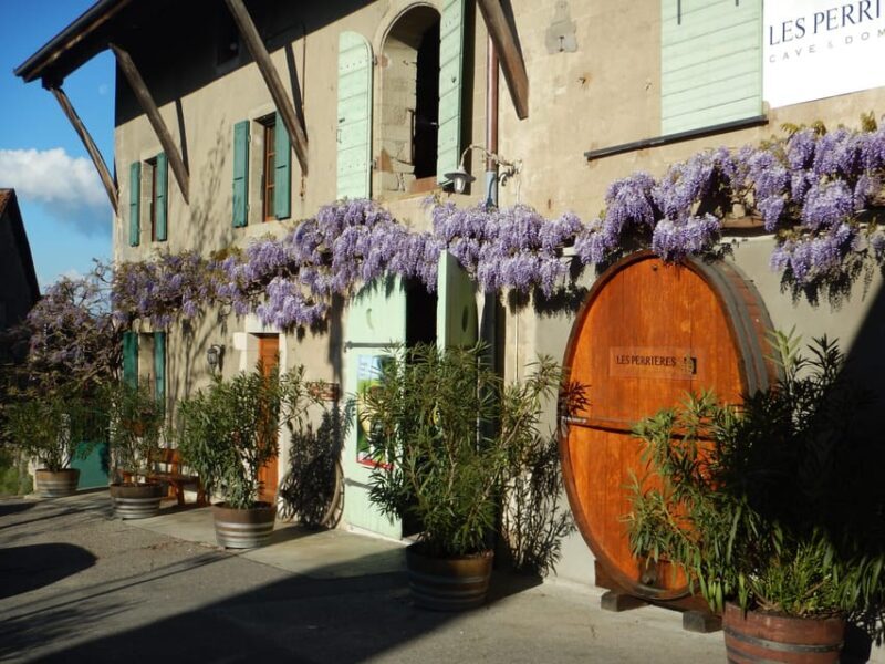 Geneva: Countryside and Wine tasting by E-Bike - Insights from Happy Travelers