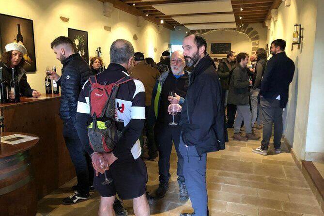 Geneva Countryside By E-Bike With Wine Tasting - Who Should Consider This Tour?