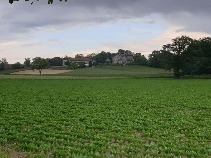 Geneva Countryside, Wine Tasting, Aperitif, Castle By E-bike - What to Expect at Each Stop