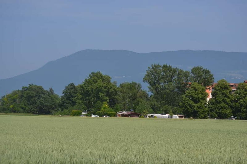 Geneva Countryside, Wine Tasting, Aperitif, Castle By E-bike - Considerations and Tips
