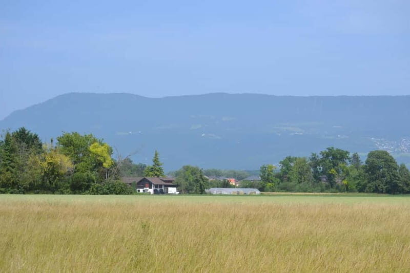 Geneva Countryside, Wine Tasting, Aperitif, Castle By E-bike - Who Will Love This Tour?