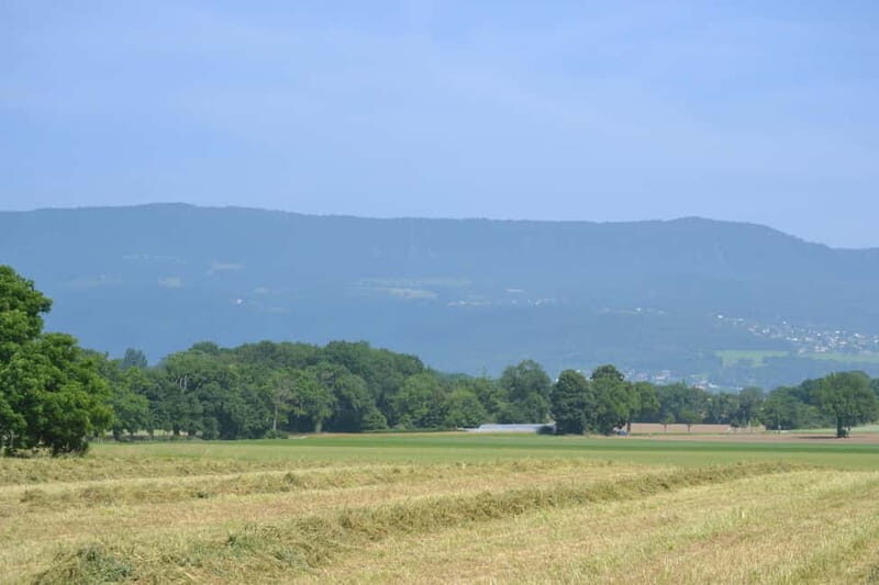 Geneva Countryside, Wine Tasting, Aperitif, Castle By E-bike - Final Thoughts