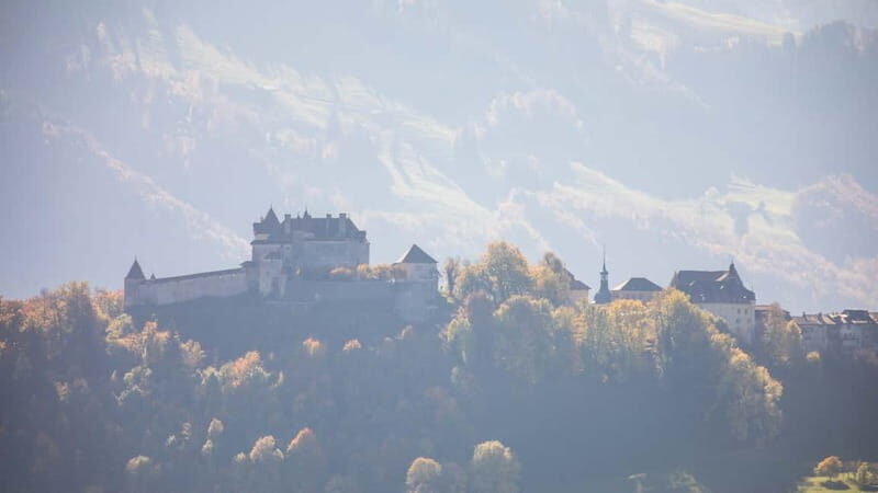 Geneva: Gruyères Tour with Chocolate, Cheese & Golden Train - Who Would Love This Tour