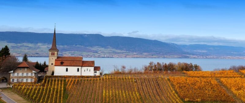 Geneva: Guided wine tour - What You Can Expect from This Guided Wine Tour