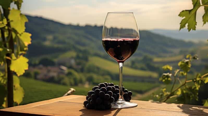 Geneva: Guided wine tour - The Practical Side: Price, Duration, and Group Size