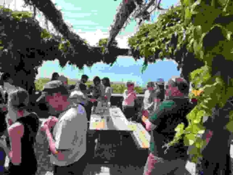 Geneva: Guided wine tour - Authentic Experiences and Real-World Insights