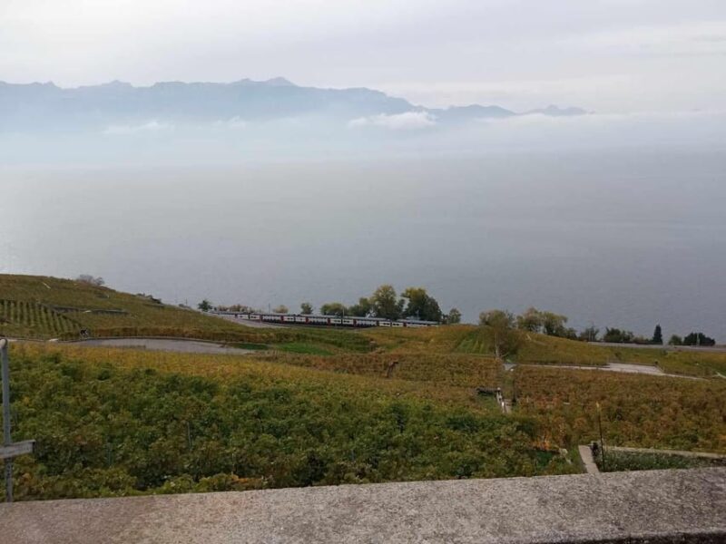 Geneva: Guided wine tour - Who Will Enjoy This Tour?