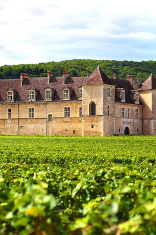 Geneva: Guided wine tour - FAQ
