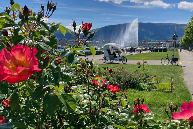 Geneva Highlights Tour by TaxiBike - Value and Overall Impression