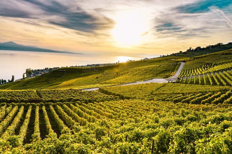 Geneva: Montreux, Chaplins World, Chillon Castle & Apéritif - An In-Depth Look at the Tour