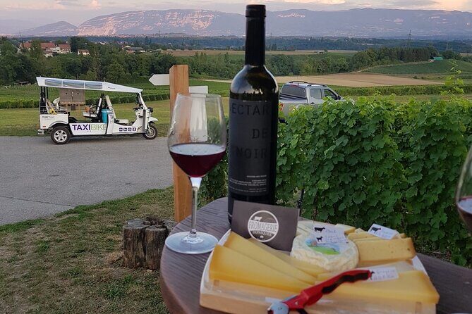 Geneva Panoramic & Tasting Vineyards Tour in an Tuk Tuk - What Travelers Say: Honest Feedback